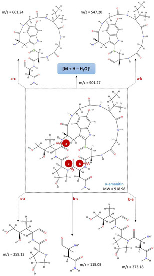 Amanitins in Wild Mushrooms: The Development of HPLC-UV-EC and HPLC-DAD ...