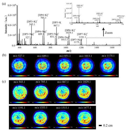 Visualizing the Spatial Distribution of Arctium lappa L. Root ...