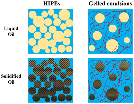 Development of Plant-Based Adipose Tissue Analogs: Freeze-Thaw and ...