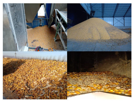 Online Detection of Impurities in Corn Deep-Bed Drying Process ...