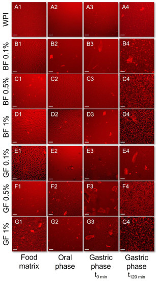Impact of Flaxseed Gums on the Colloidal Changes and In Vitro ...