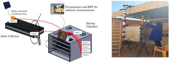 Drying Characteristics and Quality Analysis of Medicinal Herbs Dried by ...