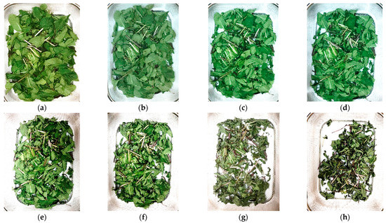 Drying Characteristics and Quality Analysis of Medicinal Herbs Dried by ...