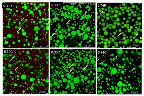 Changes in Milk Fat Globules and Membrane Proteins Prepared from pH ...