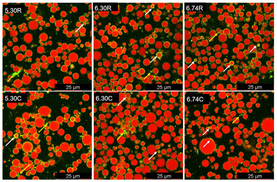 Changes in Milk Fat Globules and Membrane Proteins Prepared from pH ...