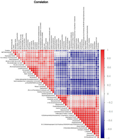 Metabolomics Characterize the Differential Metabolic Markers between ...
