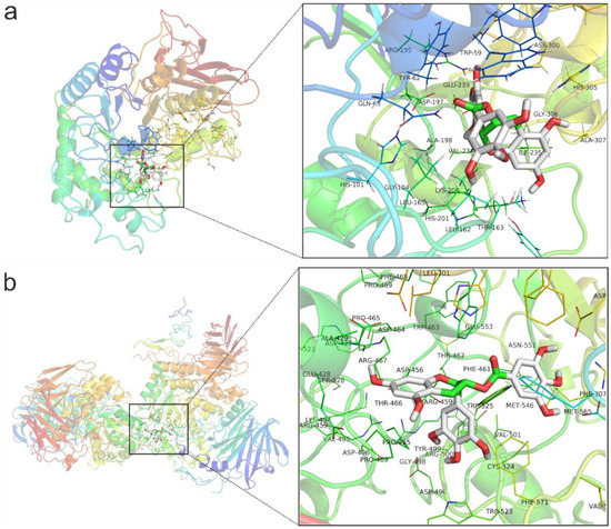 Bioaccessibility and Bioavailability of (-)-Epigallocatechin Gallate in the Bread Matrix with ...