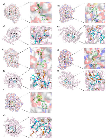 ACE Inhibitory Peptides Derived from Muscovy Duck (Cairina moschata) Plasma