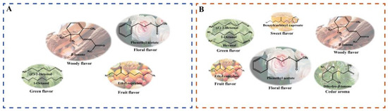 Analyzing Volatile Compounds of Young and Mature Docynia delavayi Fruit ...