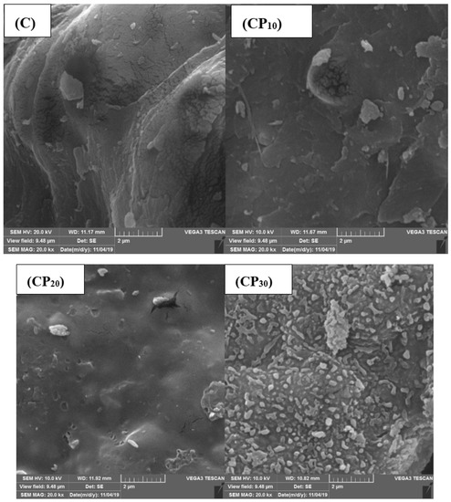 Atmospheric Pressure Cold Plasma Modification of Basil Seed Gum for ...