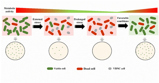 Wake Up! Resuscitation of Viable but Nonculturable Bacteria: Mechanism ...