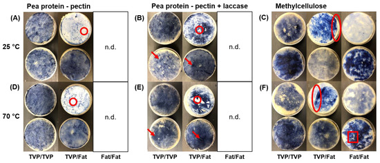 Comparison of Binding Properties of a Laccase-Treated Pea Protein–Sugar ...