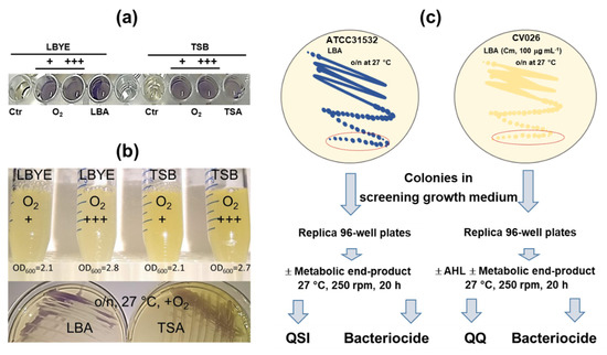 Food-Grade Bacteria Combat Pathogens by Blocking AHL-Mediated Quorum ...