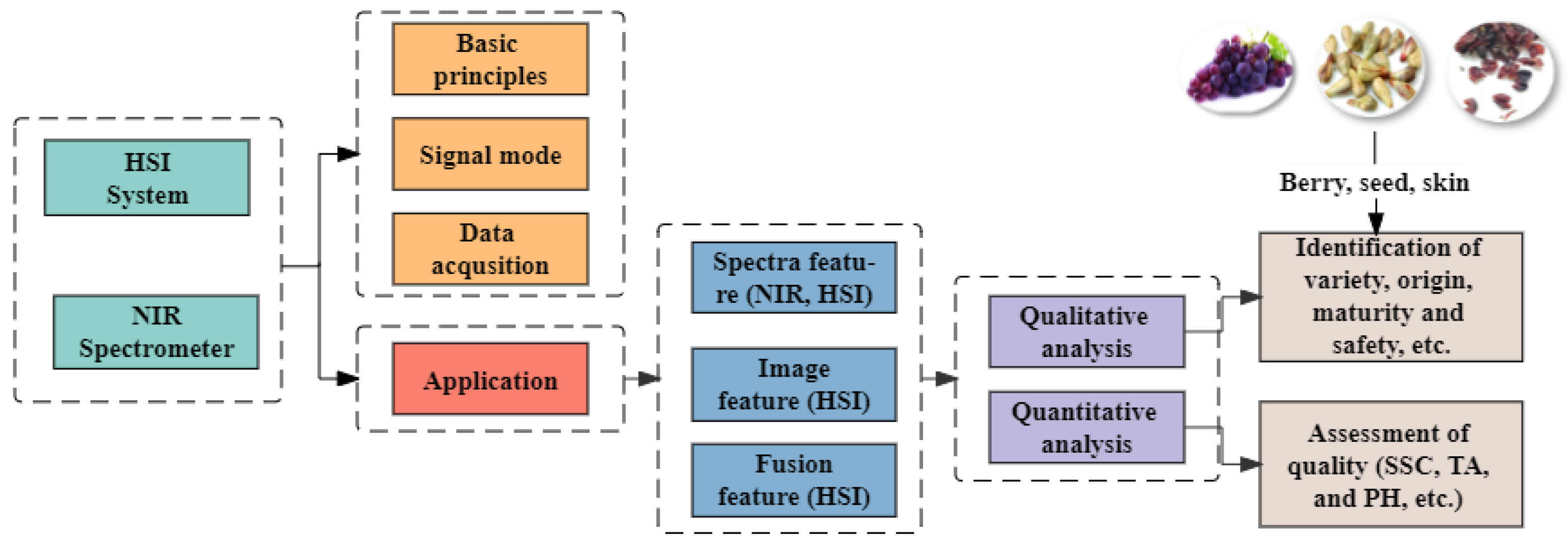 Foods | Free Full-Text | Application of Near-Infrared Spectroscopy and Hyperspectral Imaging ...