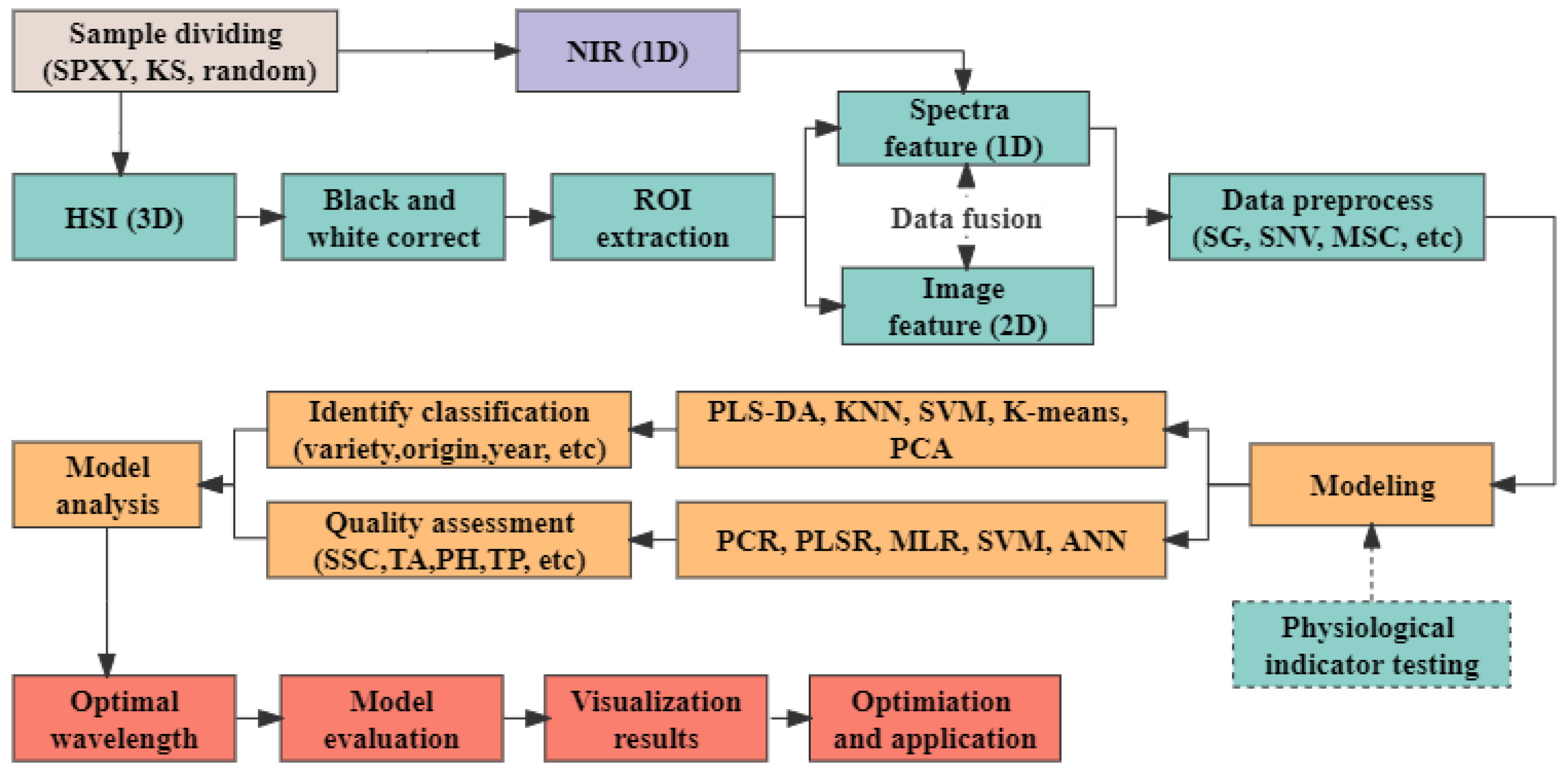 Foods | Free Full-Text | Application of Near-Infrared Spectroscopy and Hyperspectral Imaging ...