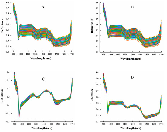 Identification of Defective Maize Seeds Using Hyperspectral Imaging Combined with Deep Learning