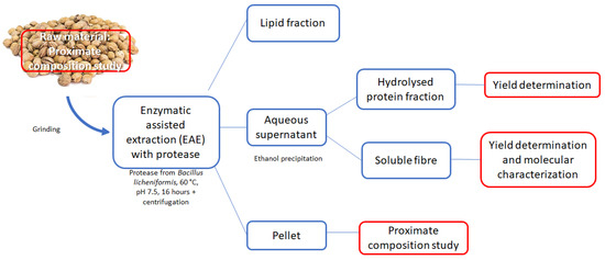 Protease-Assisted Mild Extraction of Soluble Fibre and Protein from ...