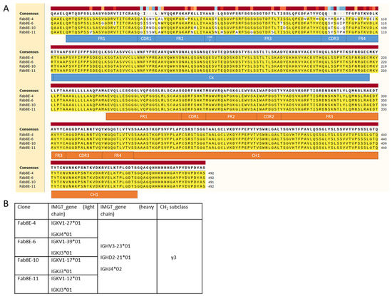 Construction of a Fab Library Merging Chains from Semisynthetic and Immune Origin, Suitable for ...