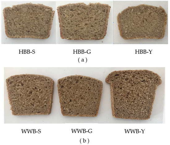 Composition of Polysaccharides in Hull-Less Barley Sourdough Bread and ...