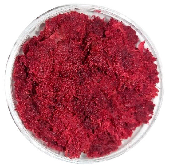 Valorization of Beetroot By-Products for Producing Value-Added Third ...