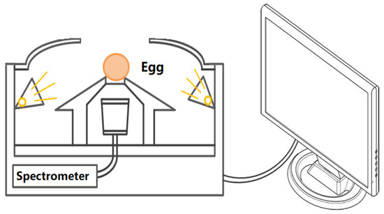 Non-Destructive Measurement of Egg’s Haugh Unit by Vis-NIR with iPLS ...