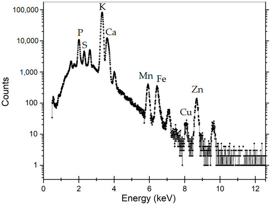 Helium Atmospheric Pressure Plasma Jet Effects on Two Cultivars of ...