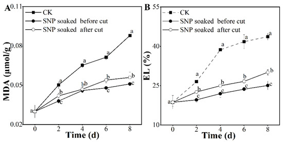 The Effect of Sodium Nitroprusside Treatment on Storage Ability of ...