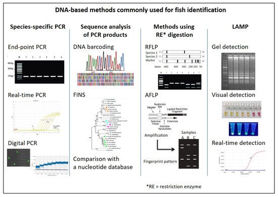 Identification of Fish Species and Targeted Genetic Modifications Based ...