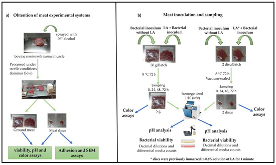 Bioprotective Lactic Acid Bacteria and Lactic Acid as a Sustainable ...