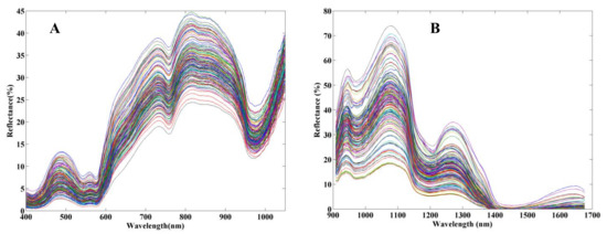 Non-Destructive Detection of Meat Quality Based on Multiple Spectral Dimension Reduction Methods ...