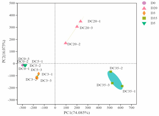 Succession and Diversity of Microbial Flora during the Fermentation of ...