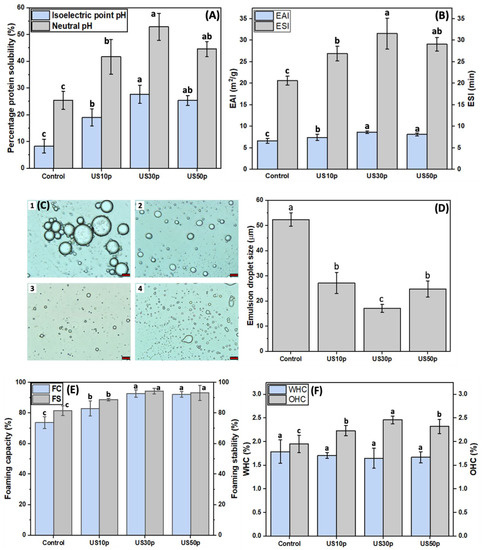 The Impact of High-Intensity Ultrasound-Assisted Extraction on the Structural and Functional ...