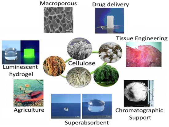 Recent Advances in Cellulose-Based Hydrogels: Food Applications