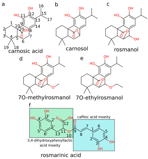 Mechanistic Insights of Polyphenolic Compounds from Rosemary Bound to ...