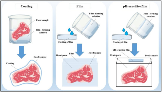Utilization of Food Waste and By-Products in the Fabrication of Active and Intelligent Packaging ...