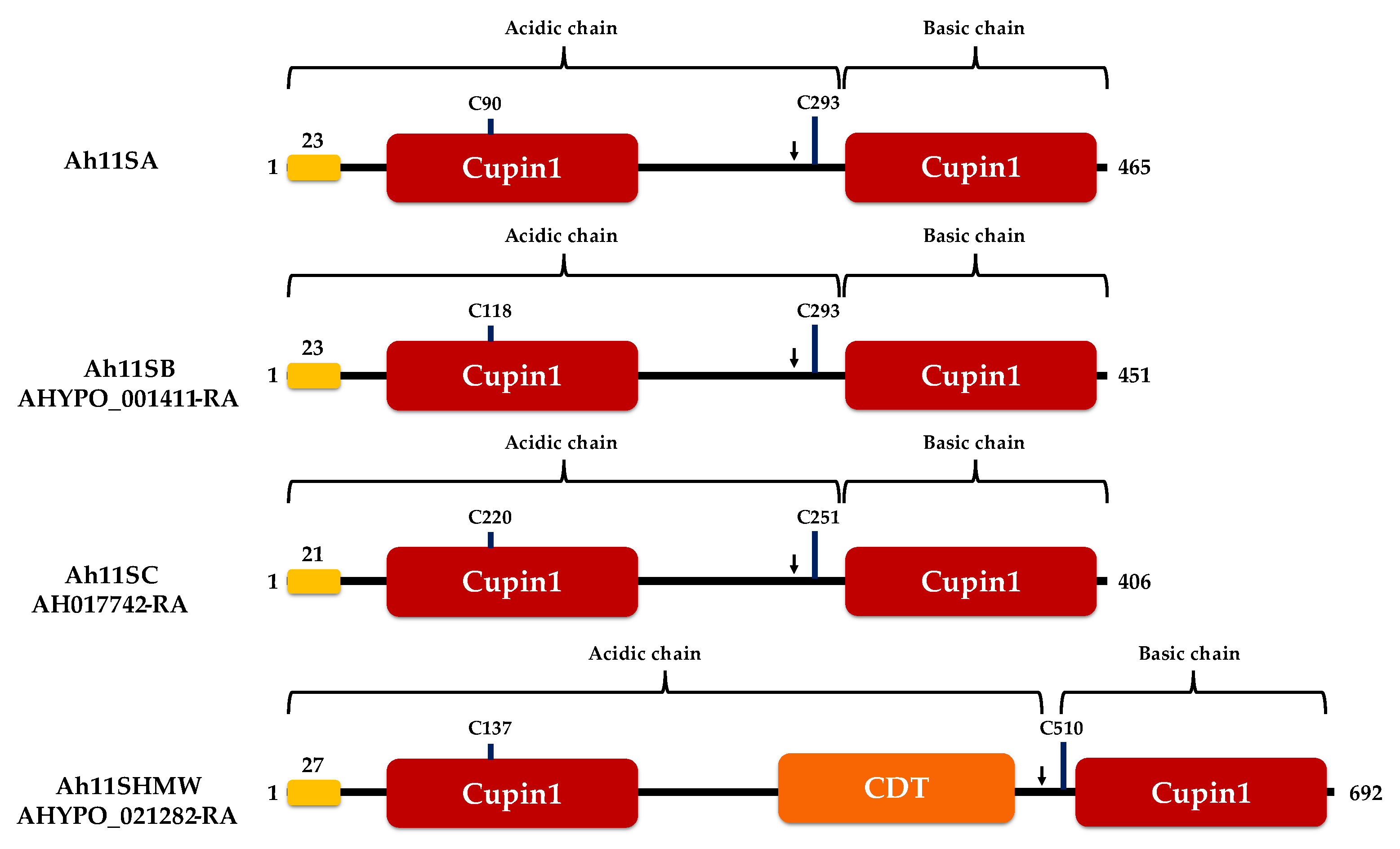 Characterization of the Technofunctional Properties and Three ...