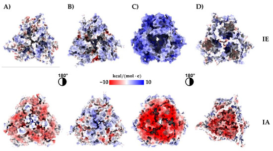 Characterization of the Technofunctional Properties and Three-Dimensional Structure Prediction ...