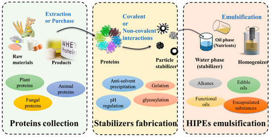 Protein-Based High Internal Phase Pickering Emulsions: A Review of ...