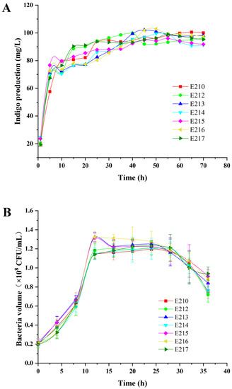 A Combinational Optimization Method for Efficient Production of Indigo ...