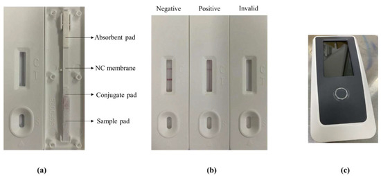 A Rapid Immunochromatographic Method Based on Gold Nanoparticles for ...