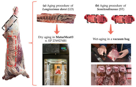 Effects of the Aging Period and Method on the Physicochemical ...