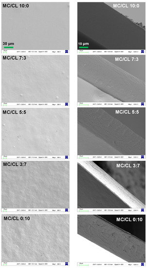 Introduction of Curdlan Optimizes the Comprehensive Properties of ...