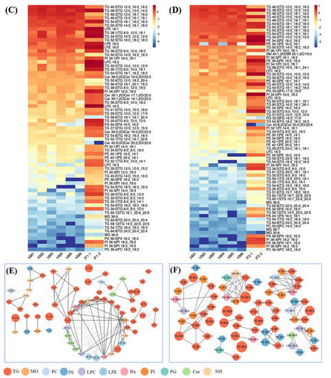 Lipid Profiles of Human Milk and Infant Formulas: A Comparative ...