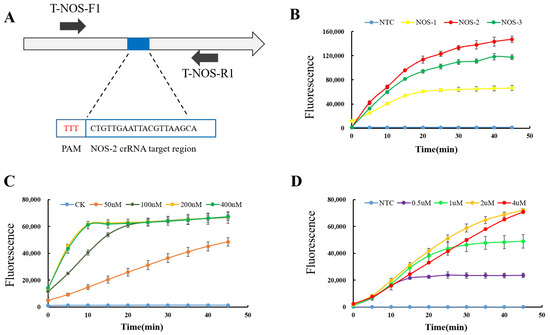 An Accurate, Rapid and Cost-Effective Method for T-nos Detection Based ...