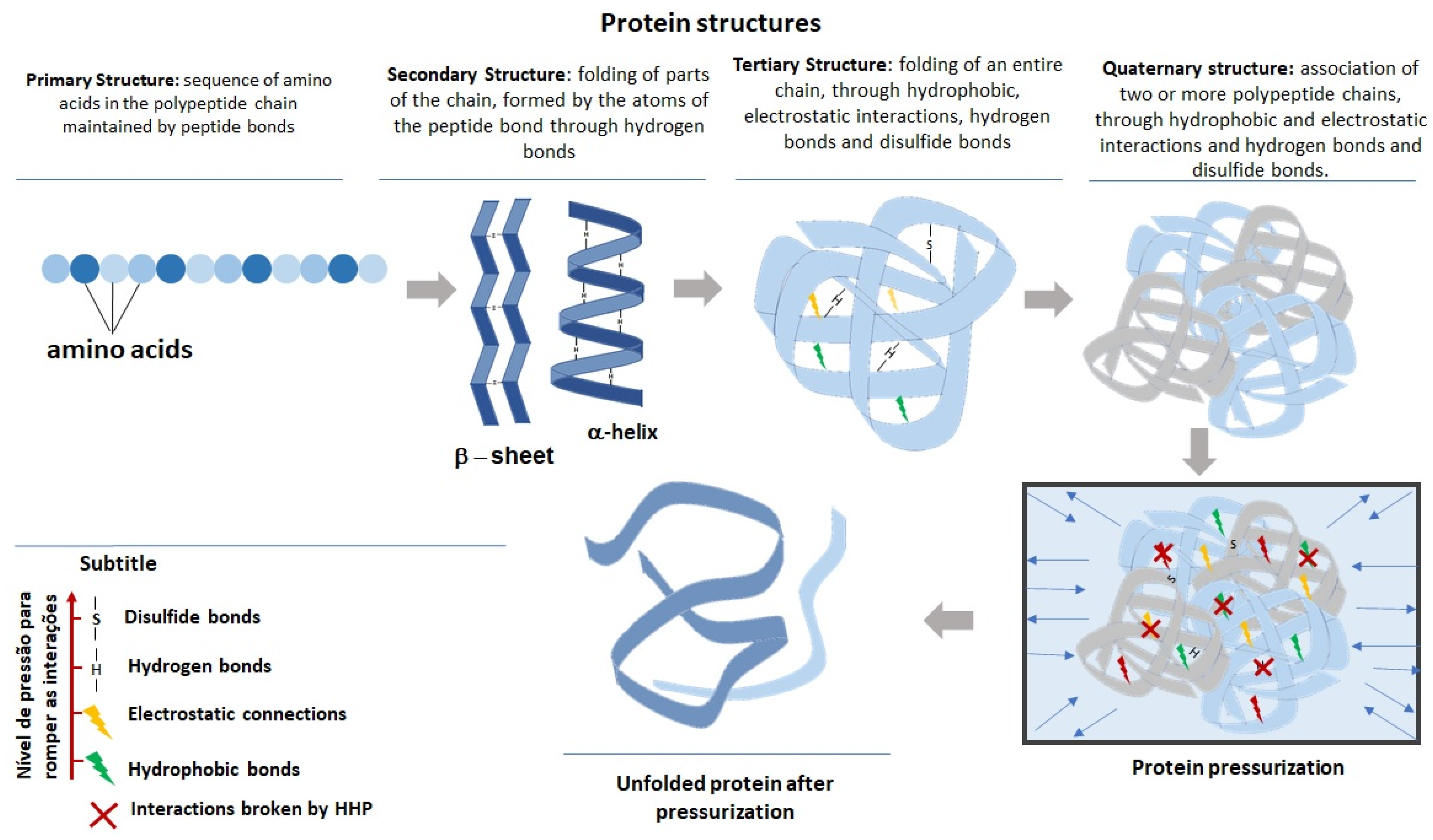 Potential Application of High Hydrostatic Pressure on the Production of ...
