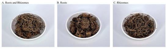 Bioactive Compounds of Underground Valerian Extracts and Their Effect ...