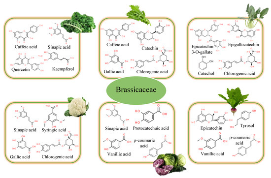 Bioactive Compounds from Leaf Vegetables as Preservatives