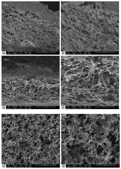 Effect of Different Drying Methods on the Quality and Nonvolatile Flavor Components of ...
