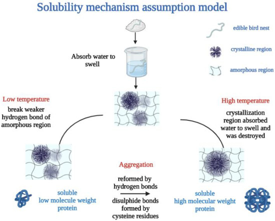 Investigation of Structural Characteristics and Solubility Mechanism of ...