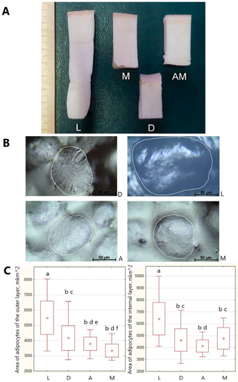 Foods | Free Full-Text | Pork Fat and Meat: A Balance between Consumer ...